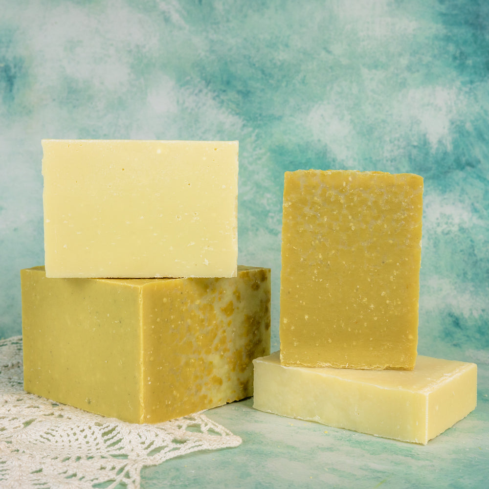 Zero-Waste Dish Soap – LüSa Organics